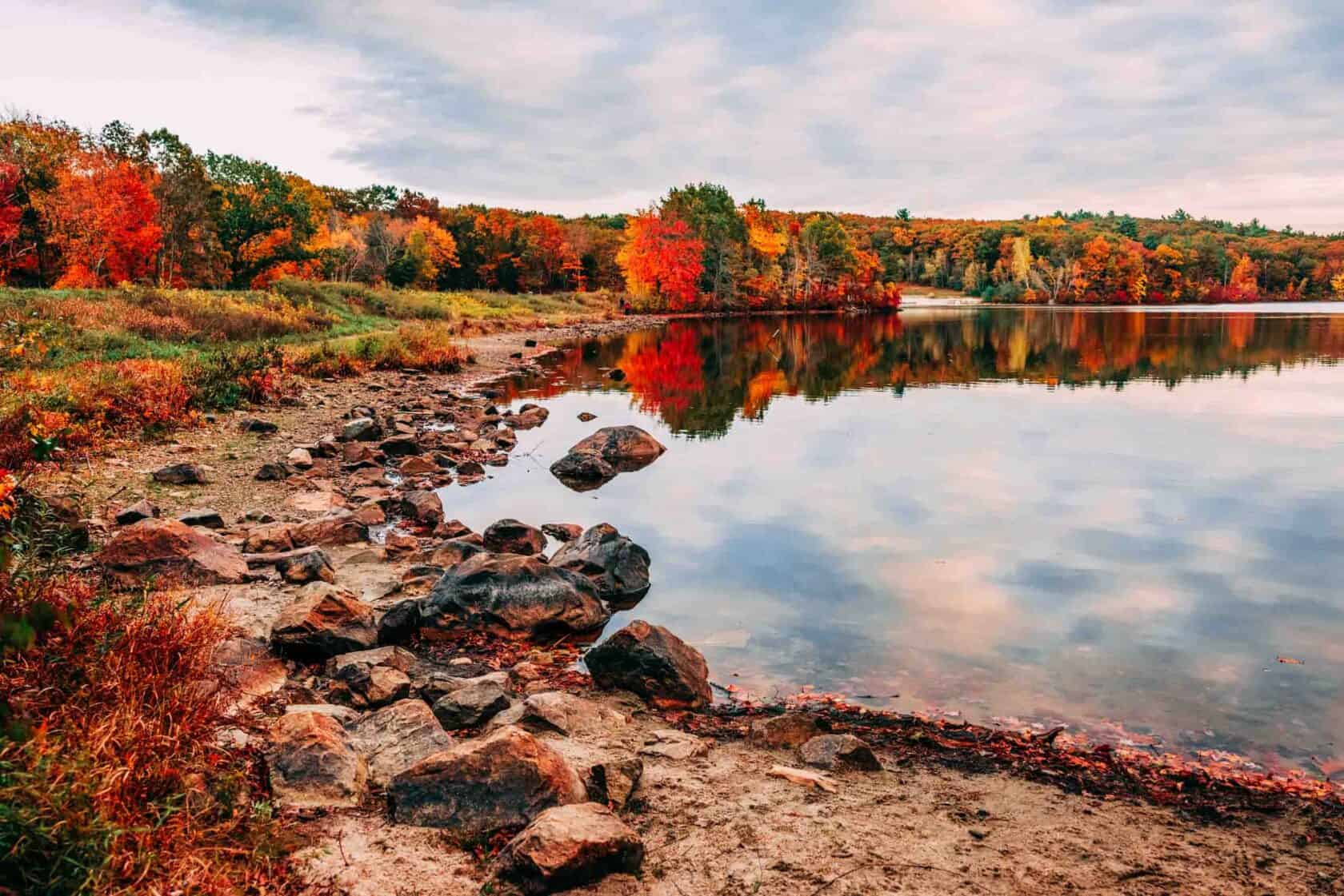 Visitor Guidelines - Hale Education