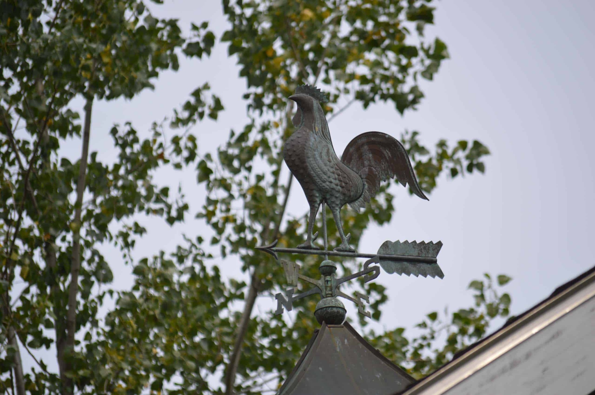 Frequently Asked Questions - Hale Education