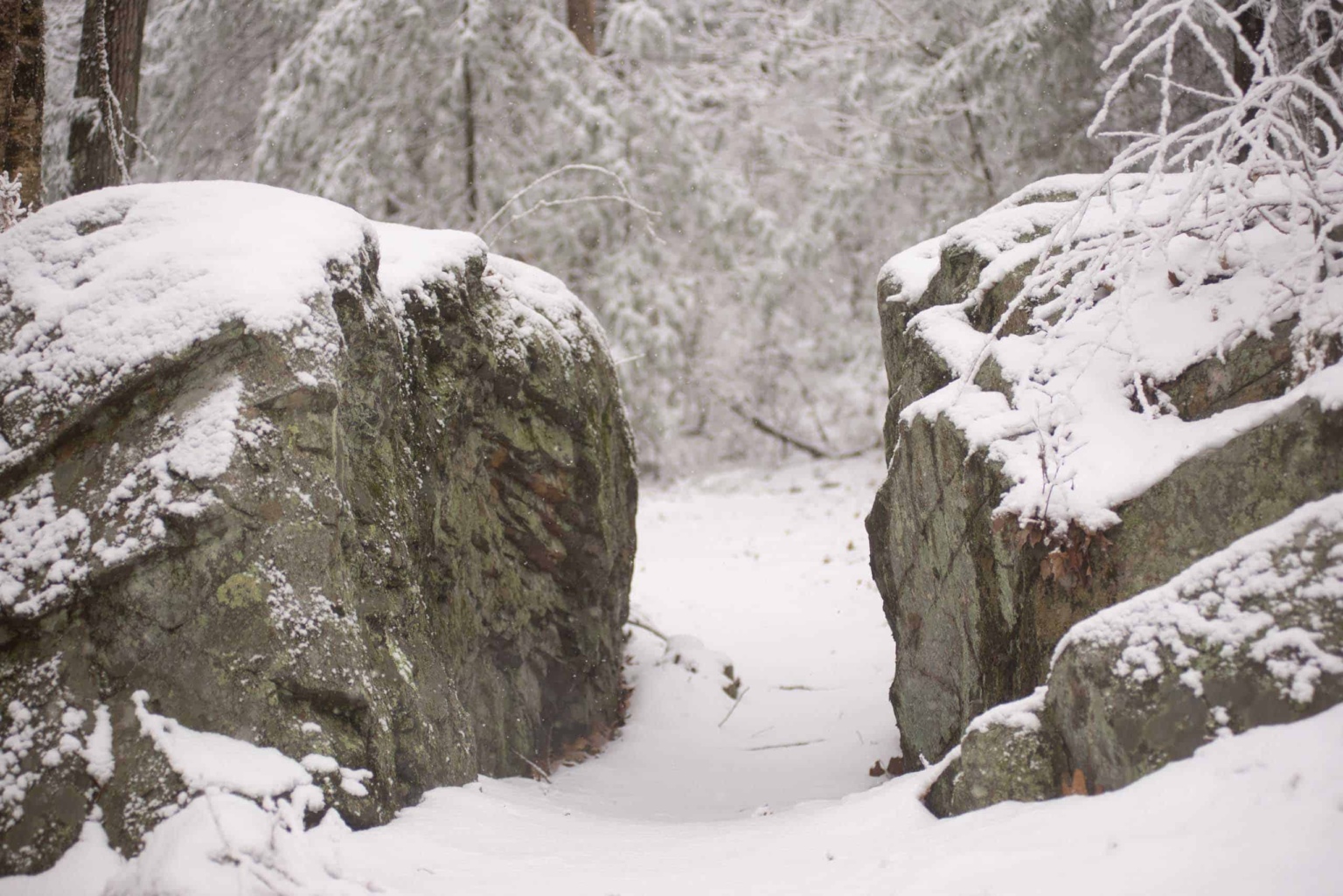 Visitor Guidelines - Hale Education