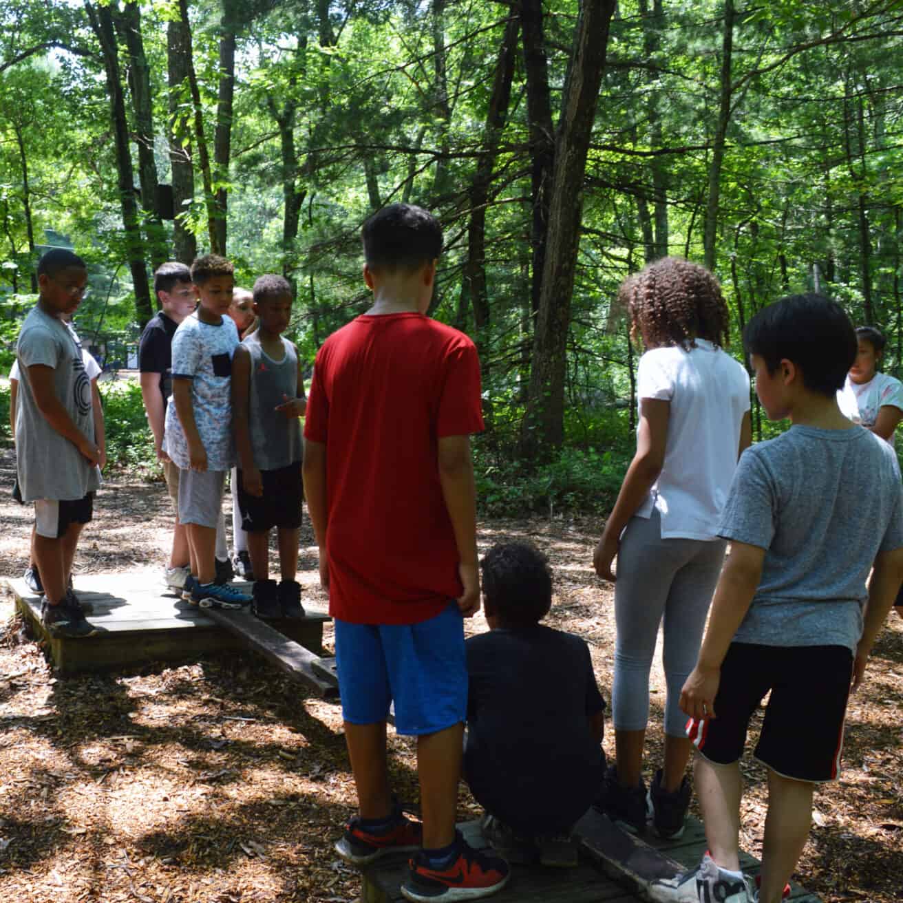 Challenge Course - Hale Education