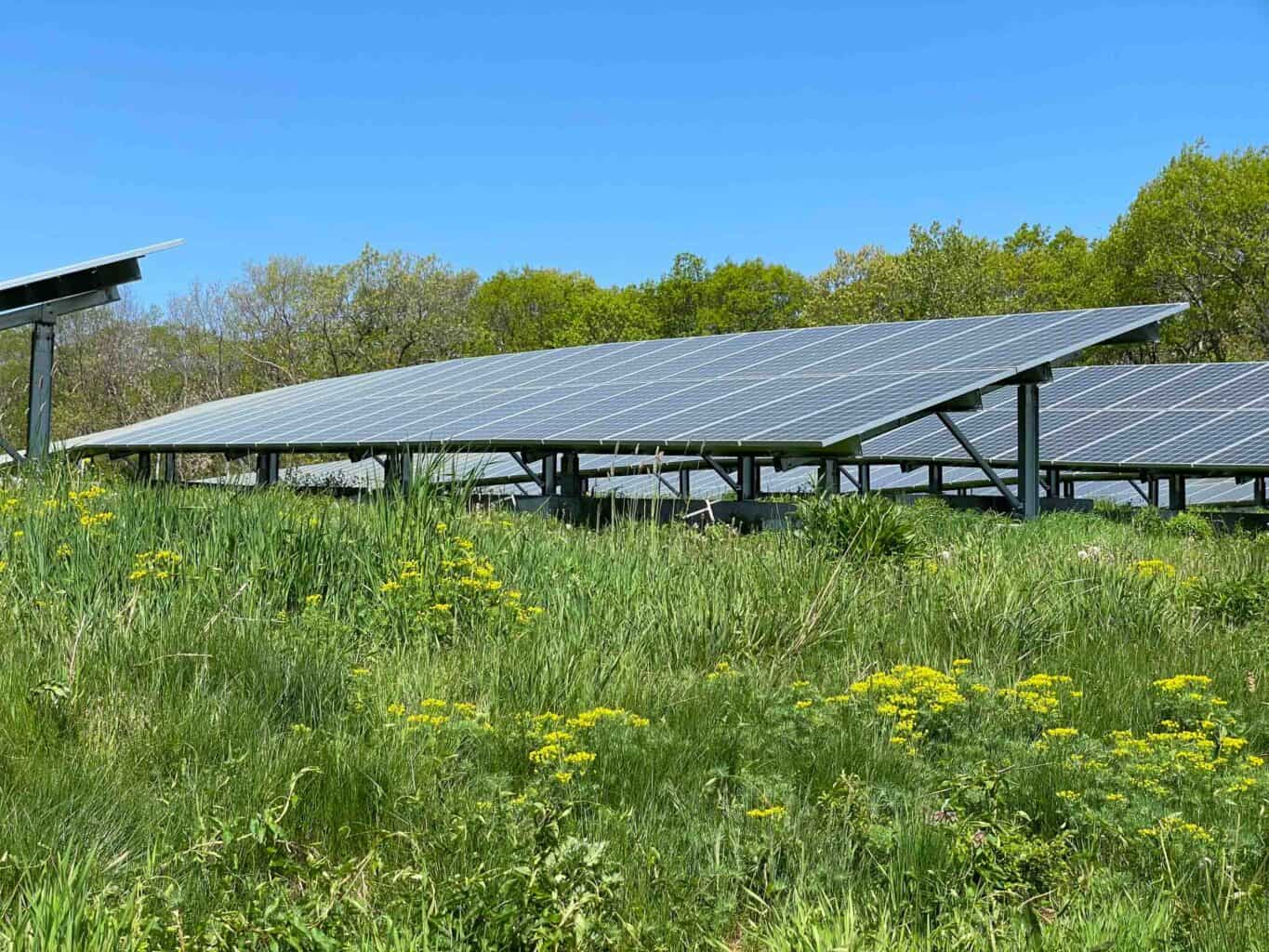 Community Solar Farm - Hale Education