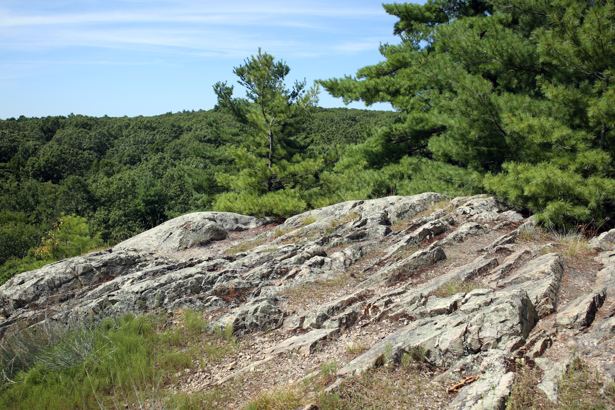 Our Board - Hale Education